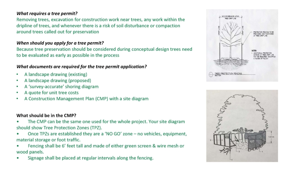 Tree Permit – City of Aspen Engineering