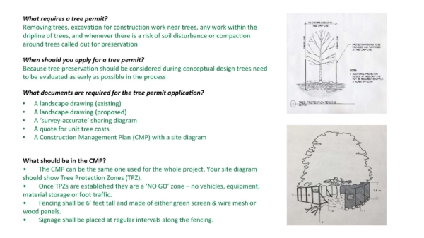 Tree Permit – City of Aspen Engineering